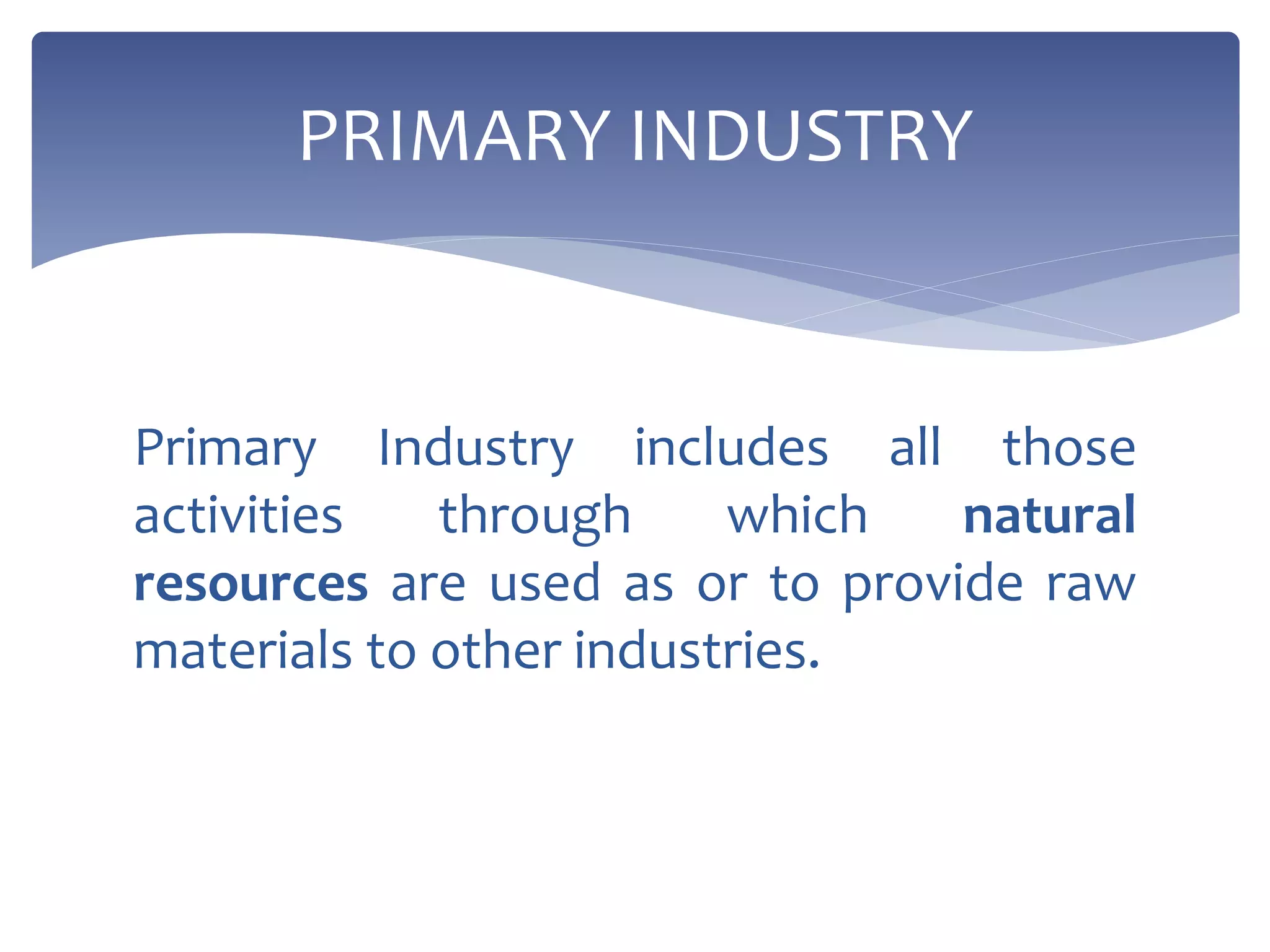 Presentation on Economic Activites | PPTX