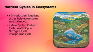 Presentation on Ecosystem by our group.pptx