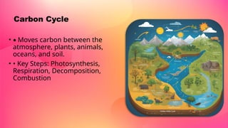 Presentation on Ecosystem by our group.pptx