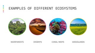 Presentation on Ecosystem Case Studies.pdf