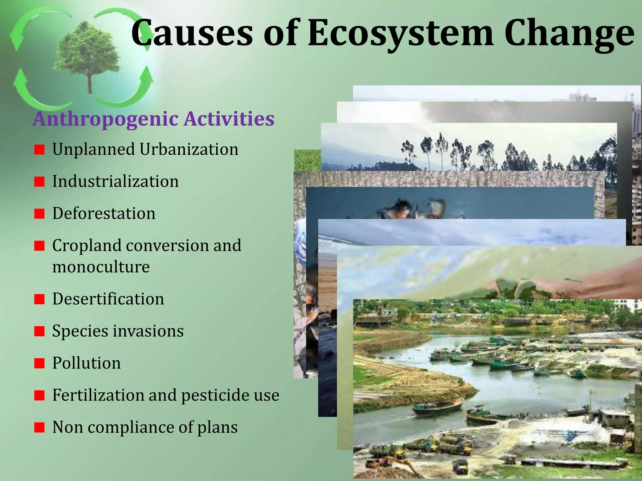 Presentation on Ecosystem_MPA_05.07.23.pptx