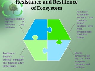 Presentation on Ecosystem_MPA_05.07.23.pptx