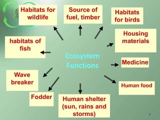 Presentation on Ecosystem_MPA_05.07.23.pptx