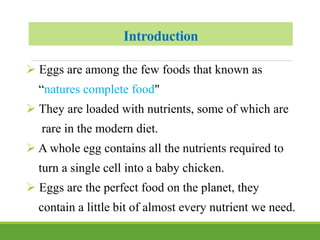 Presentation on egg | PPTX