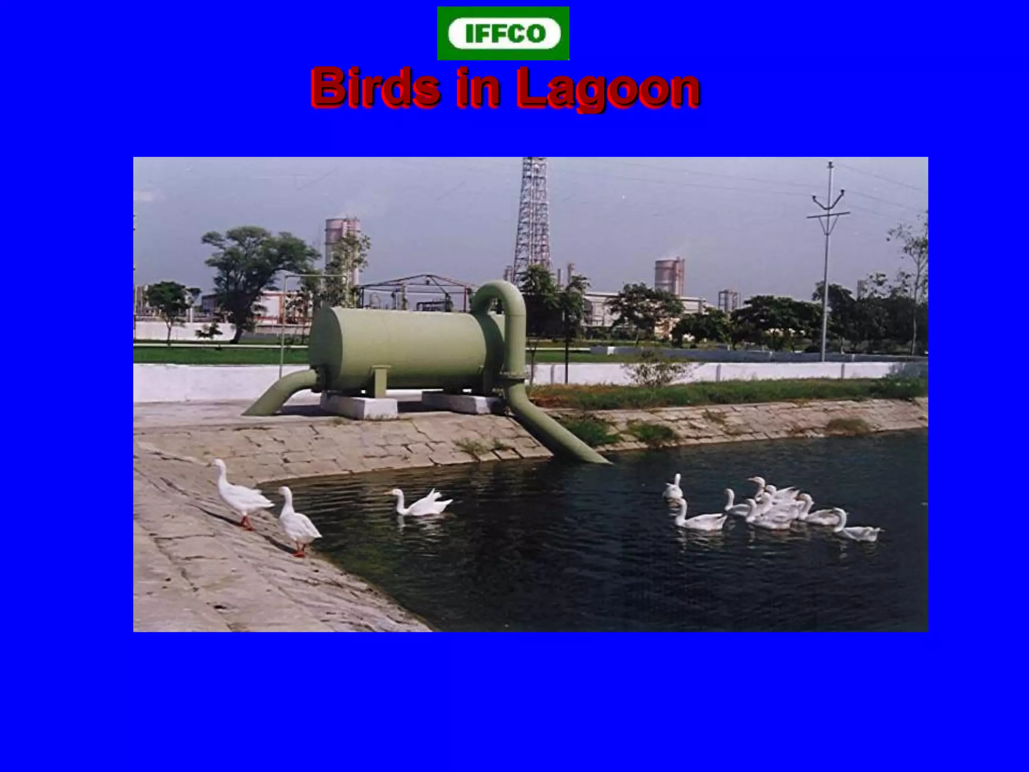 Presentation On Environmental Management At Iit Roorkee | PDF ...