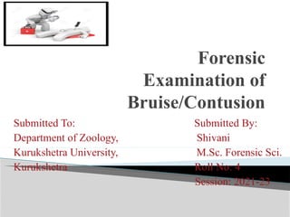 Presentation on examination of bruise.pptx