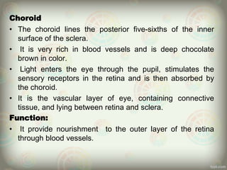 Presentation on eye | PPT