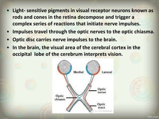 Presentation on eye | PPT