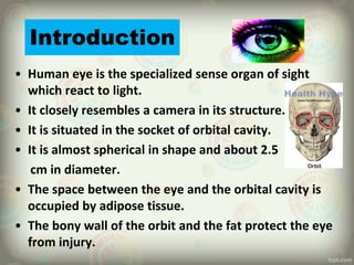 Presentation on eye | PPT