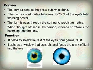 Presentation on eye | PPT