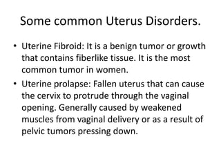 Presentation on female reproductive system | PPTX