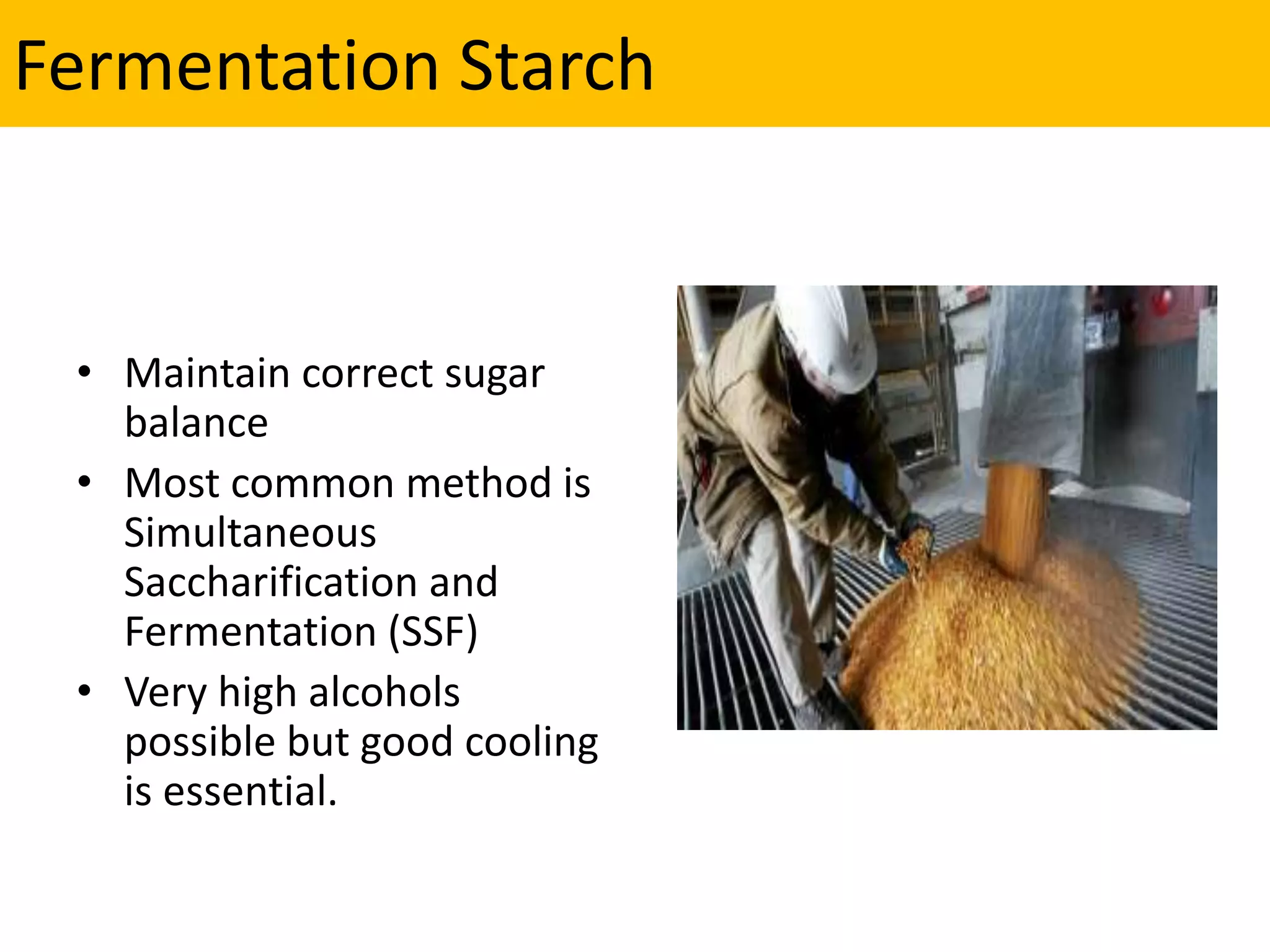 Presentation on Grain and Molasses fermentation | PPTX