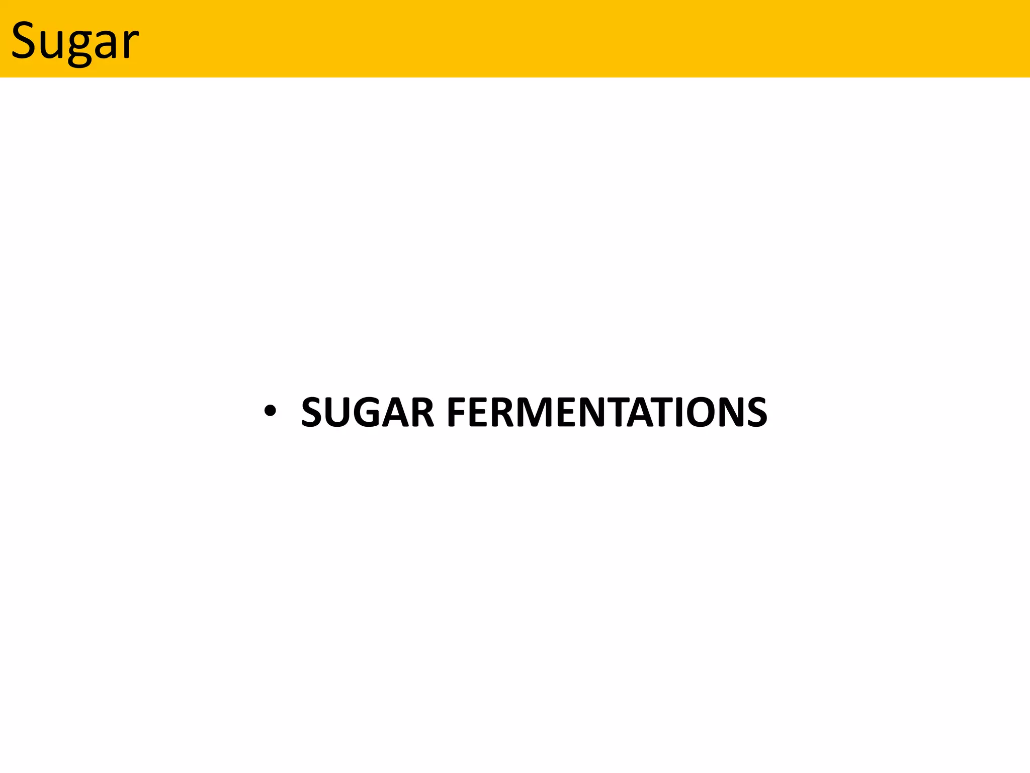 Presentation on Grain and Molasses fermentation | PPTX
