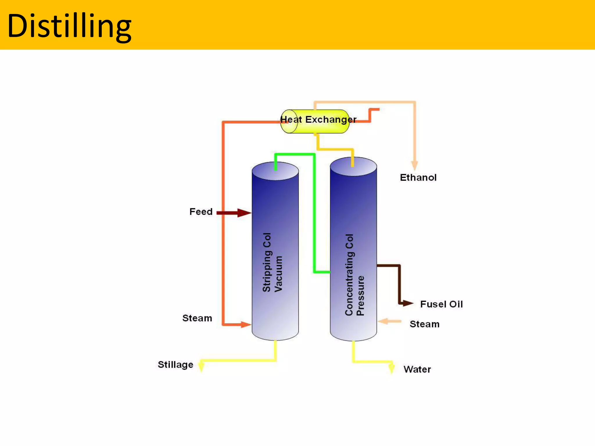Presentation on Grain and Molasses fermentation | PPTX