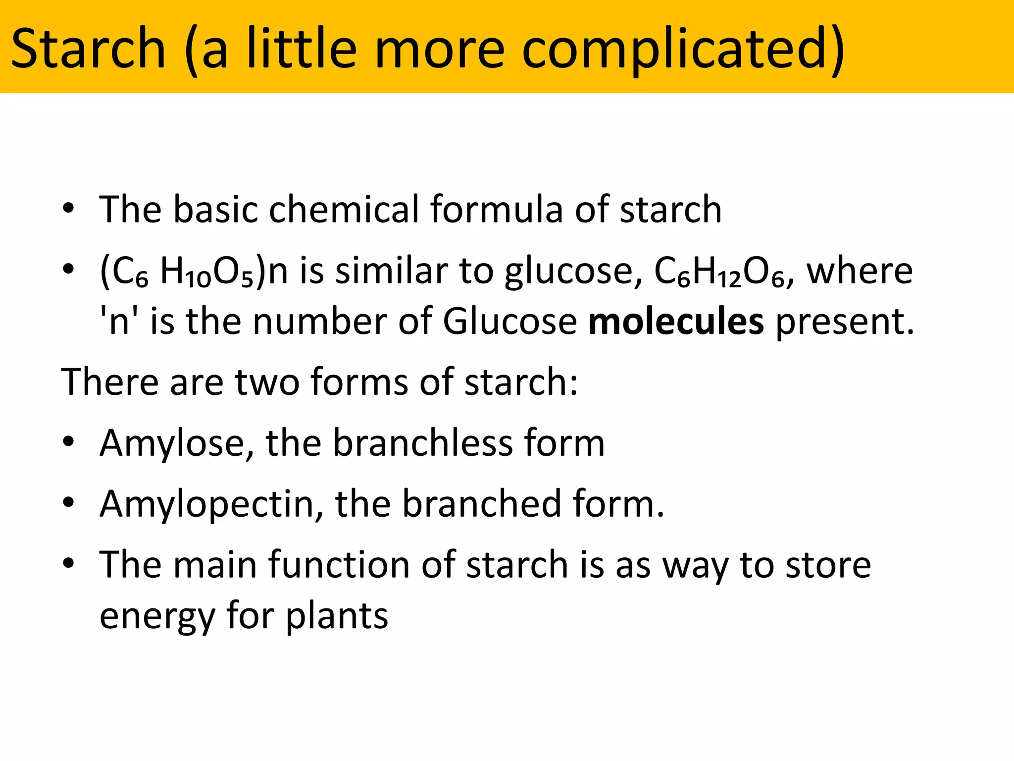 Presentation on Grain and Molasses fermentation | PPTX