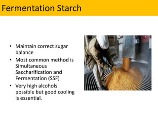 Presentation on Grain and Molasses fermentation | PPTX