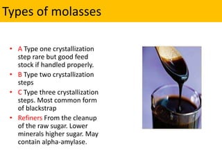 Presentation on Grain and Molasses fermentation | PPTX