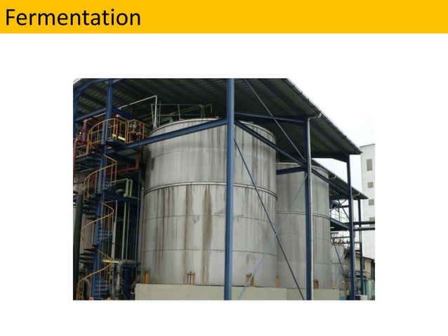 Presentation on Grain and Molasses fermentation | PPTX | Desserts and ...