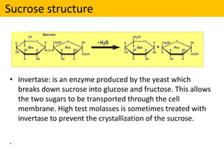 Presentation on Grain and Molasses fermentation | PPTX