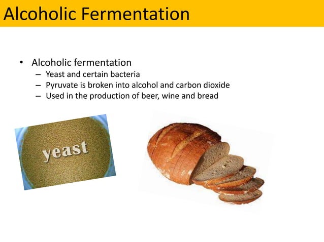 Presentation on Grain and Molasses fermentation | PPTX | Desserts and ...