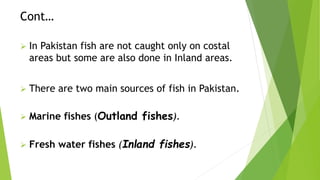 Presentation on fishing & fishing capacity | PPTX