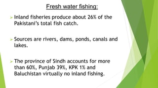 Presentation on fishing & fishing capacity | PPTX