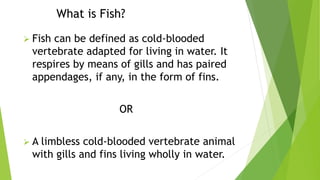 Presentation on fishing & fishing capacity | PPTX