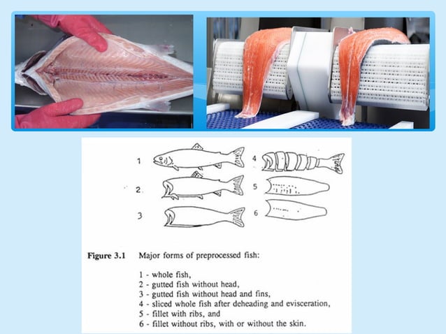 Presentation on fish processing, preservation and trasporting | PPT ...