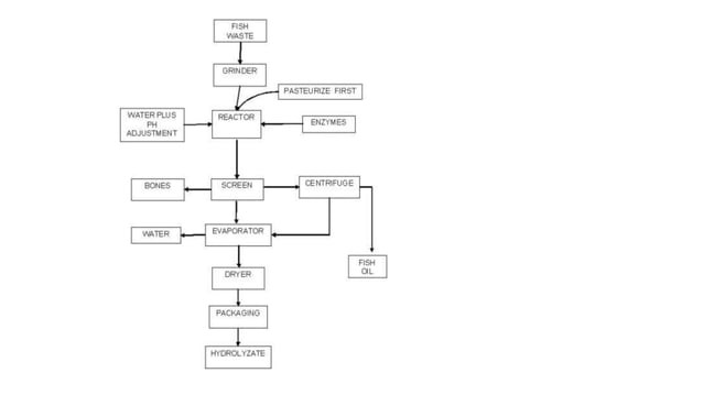 Presentation on fish protein concentrate