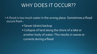 Presentation on flood disaster management | PPTX