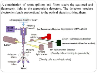 Presentation on flow cytometry1 | PPTX