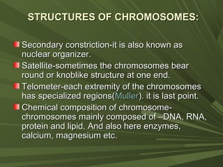 Presentation on fundamental genetics | PPT
