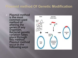 Presentation on genetic modification.pptx