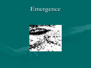 Presentation on gestalt theory | PPT