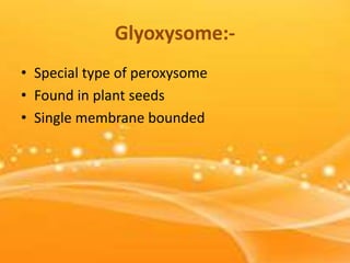 Presentation on glyoxisome | PPTX