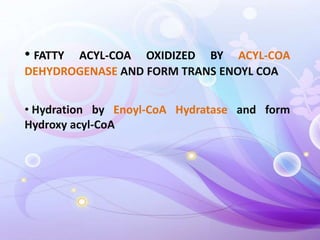 Presentation on glyoxisome | PPTX