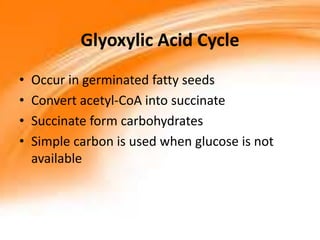 Presentation on glyoxisome | PPTX
