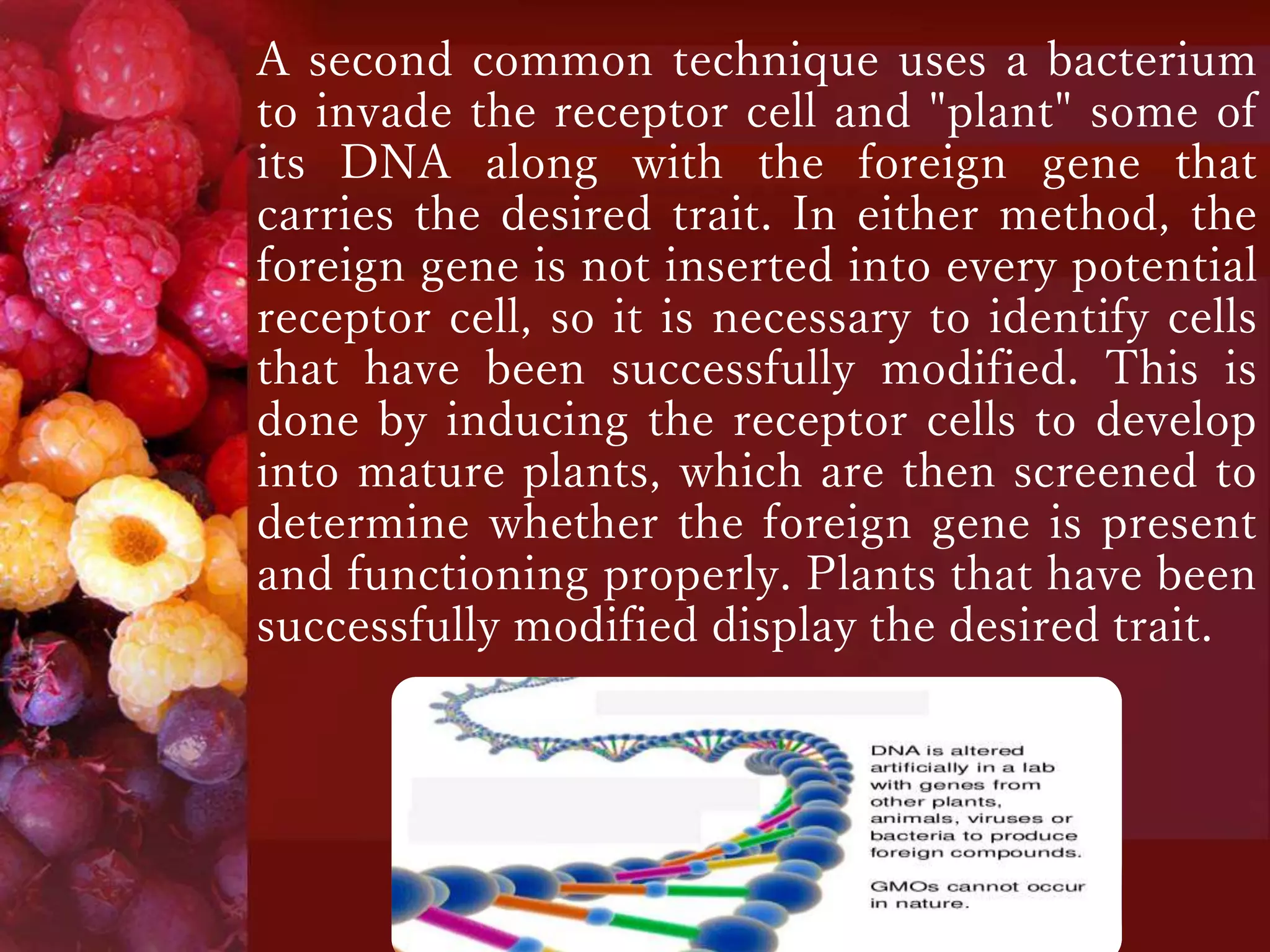 GMO's with their Controversies | PPTX
