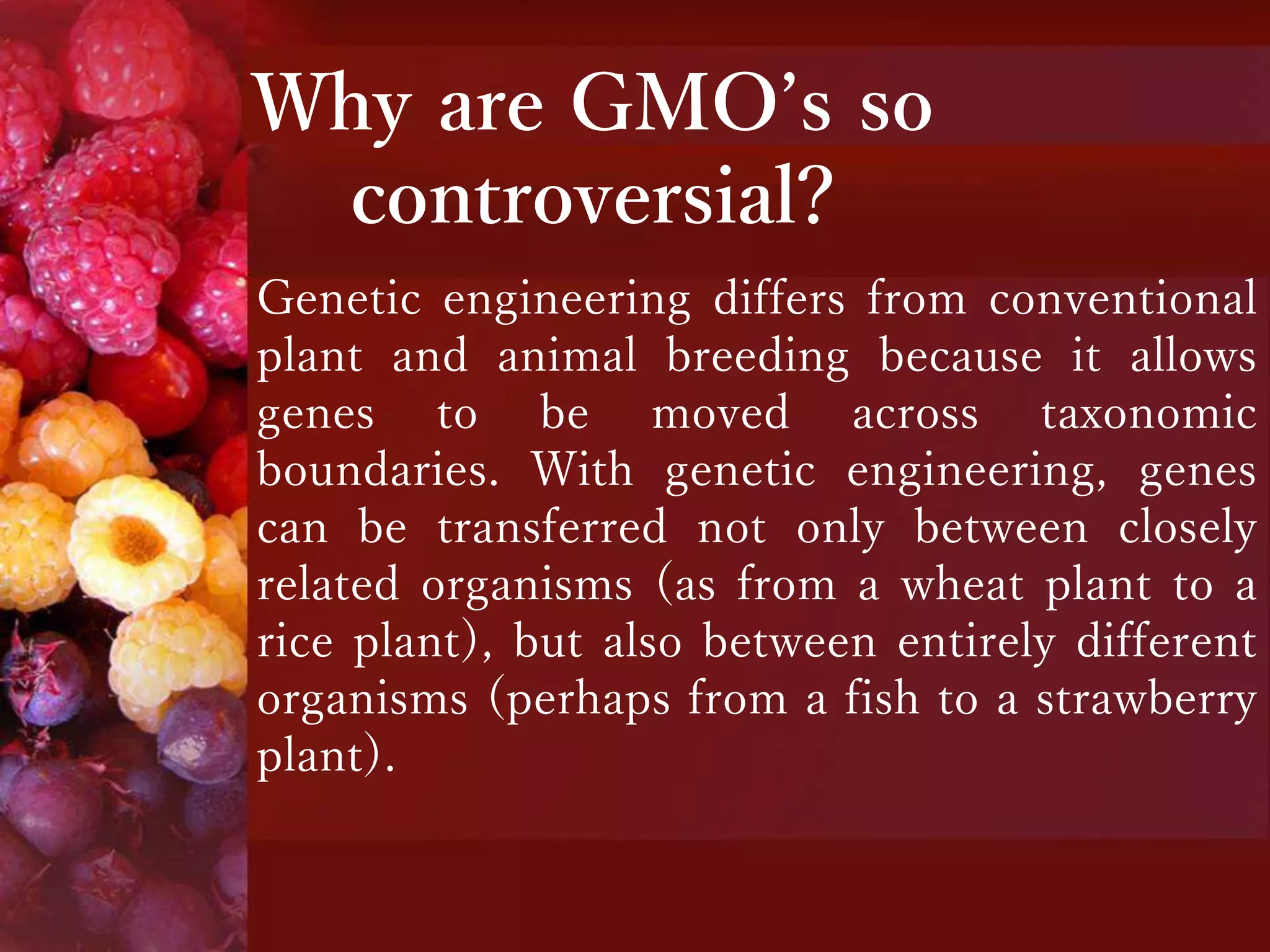 GMO's with their Controversies | PPTX