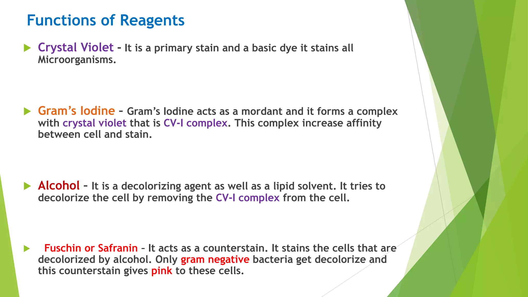 Presentation on Gram Staining.pptx