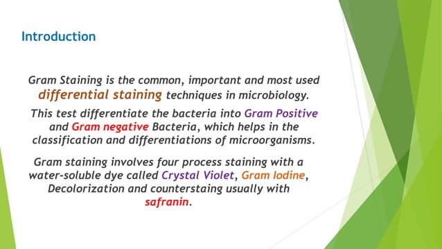 Presentation on Gram Staining.pptx