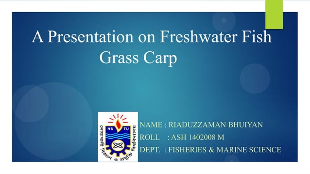 Grass Carp | PDF