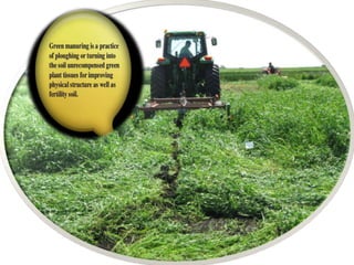 Presentation on green manuring | PPTX