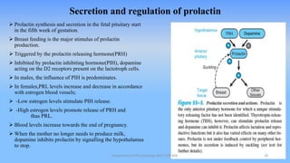 Presentation on growth harmone and prolactin converted | PDF