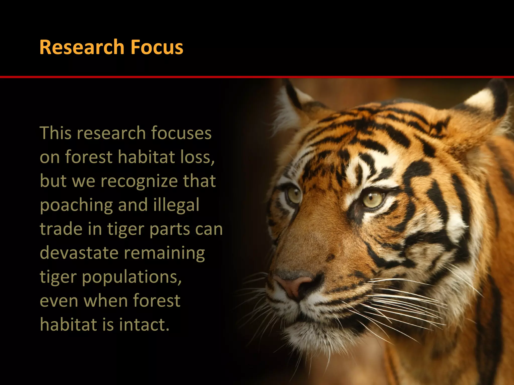 Habitat Threats for Tigers | PPT | Free Download
