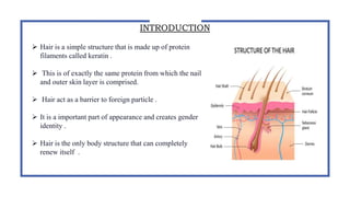 Structure of Hair.pptx