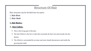 Structure of Hair.pptx