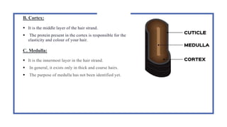 Structure of Hair.pptx