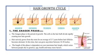 Structure of Hair.pptx