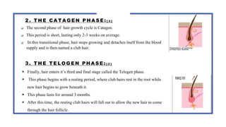 Structure of Hair.pptx